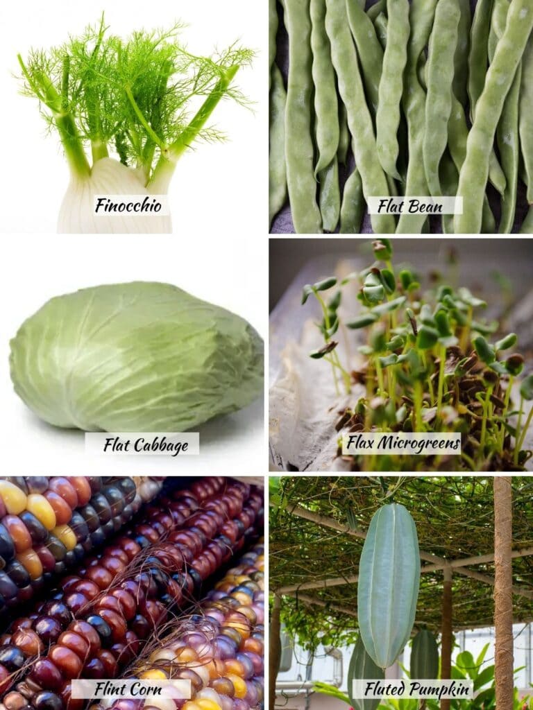 46 Vegetables that Start with F - Keeping the Peas