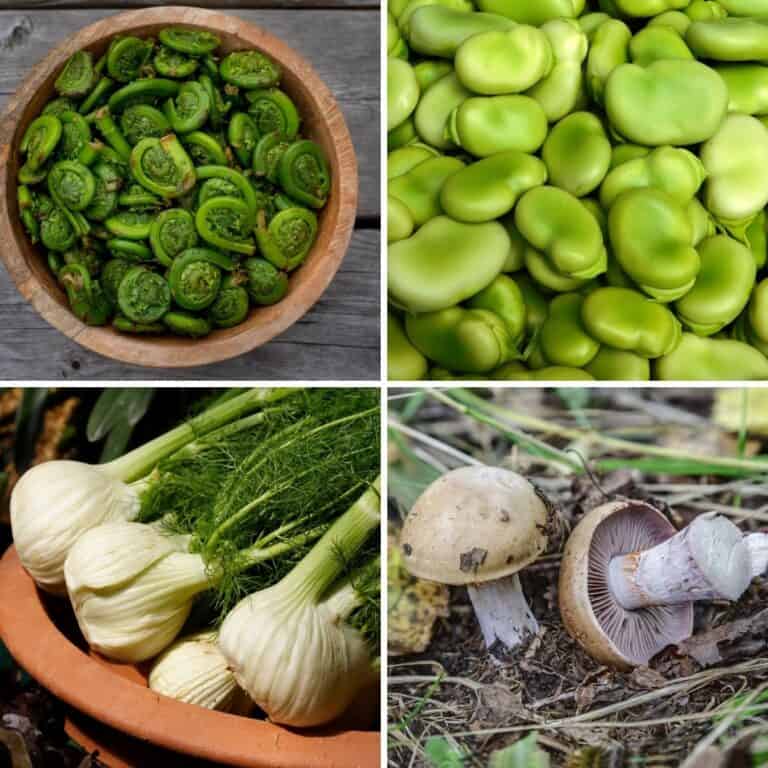 46 Vegetables that Start with F - Keeping the Peas