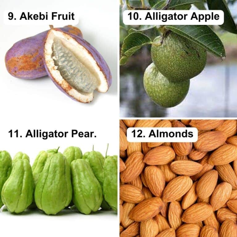 45 Fruits That Start With A - Keeping the Peas