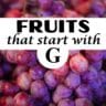 31 Fruits that Start With G - Keeping the Peas