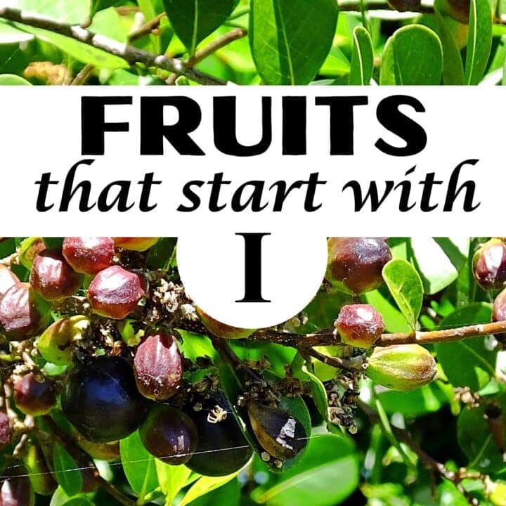 25 Fruits That Start With I – Alphabetical List of Fruits and ...