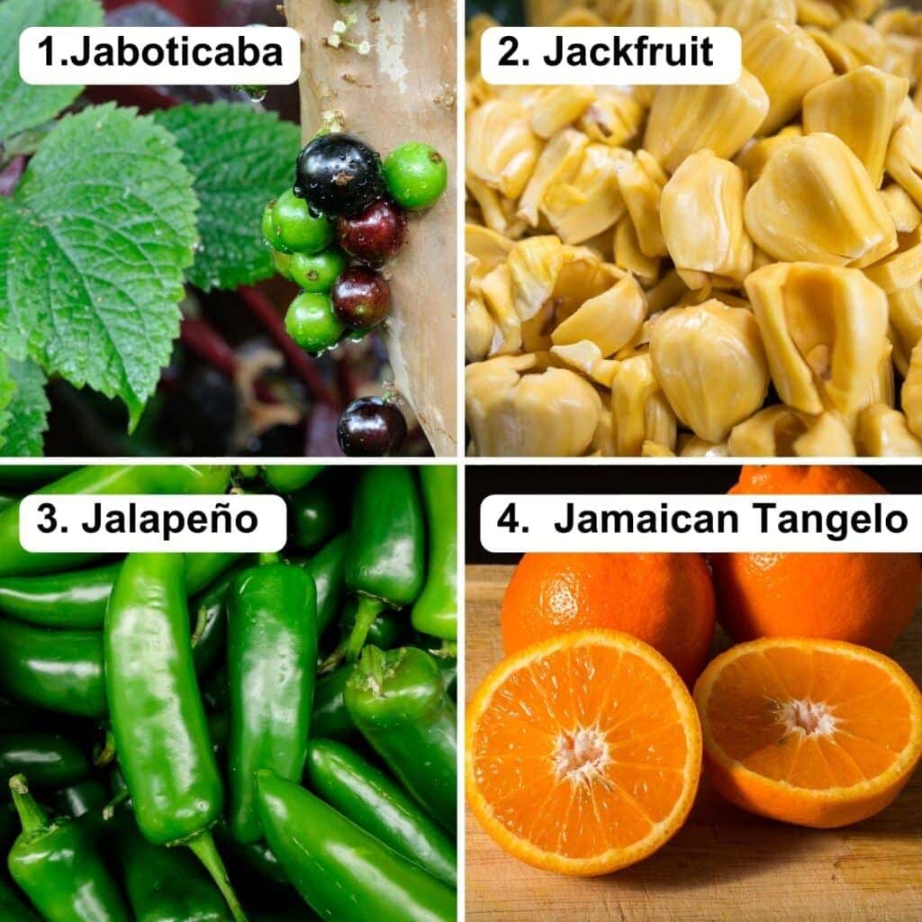 20 Fruits That Start With J - Keeping the Peas