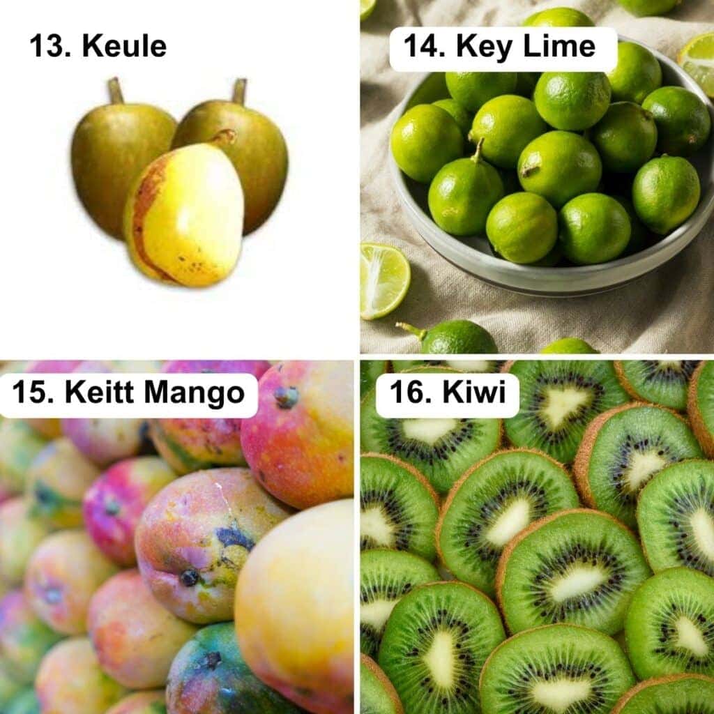 25 Fruits That Start With K - Keeping the Peas