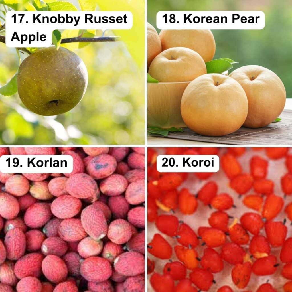 25 Fruits That Start With K - Keeping the Peas