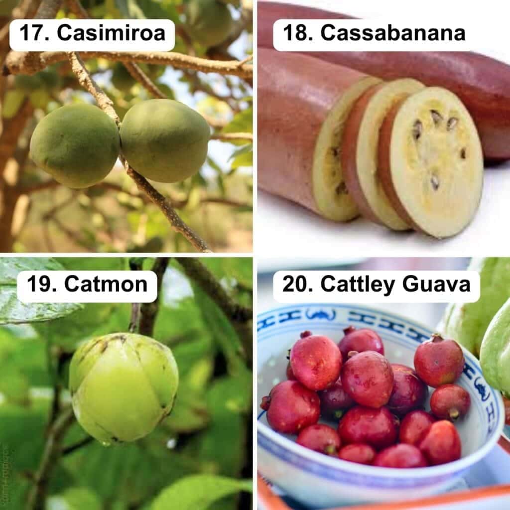 58 Fruits That Start With C - Keeping the Peas