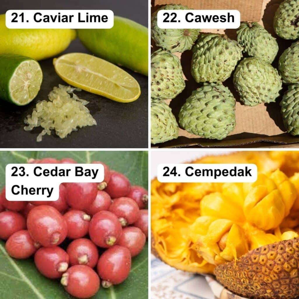 58 Fruits That Start With C - Keeping the Peas
