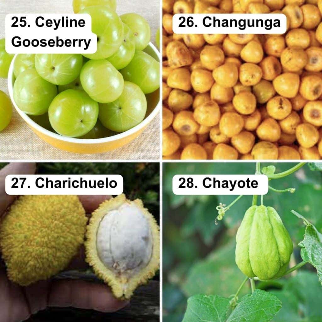 58 Fruits That Start With C - Keeping the Peas