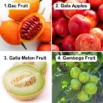 31 Fruits that Start With G - Keeping the Peas