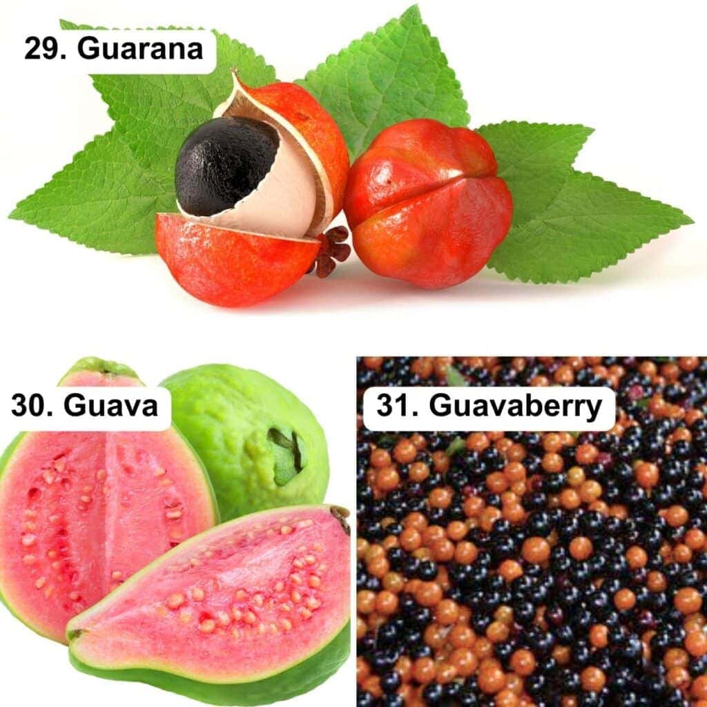 31 Fruits that Start With G - Keeping the Peas