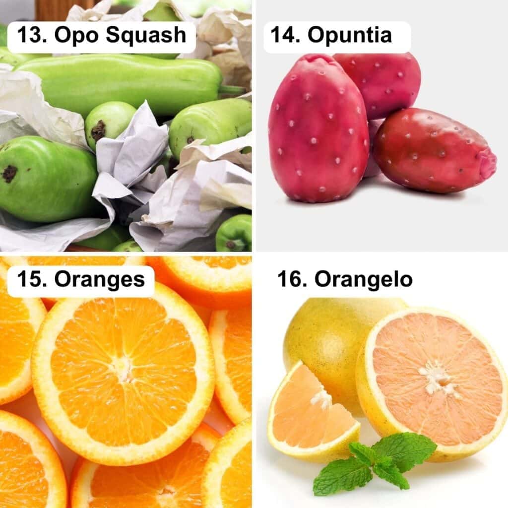 34 Fruits That Start With O - Keeping the Peas