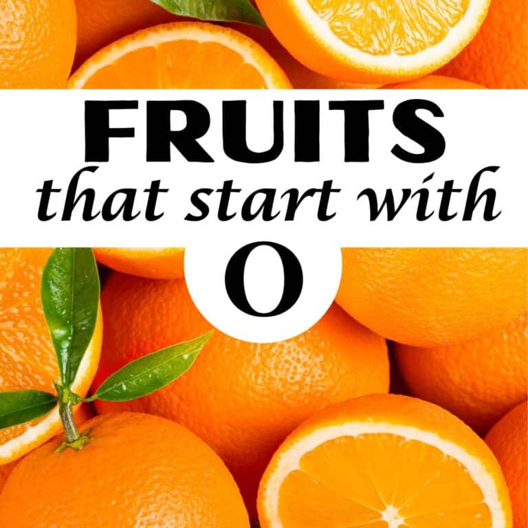 34 Fruits That Start With O - Keeping the Peas