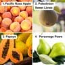 44 Fruits That Start With P - Keeping the Peas