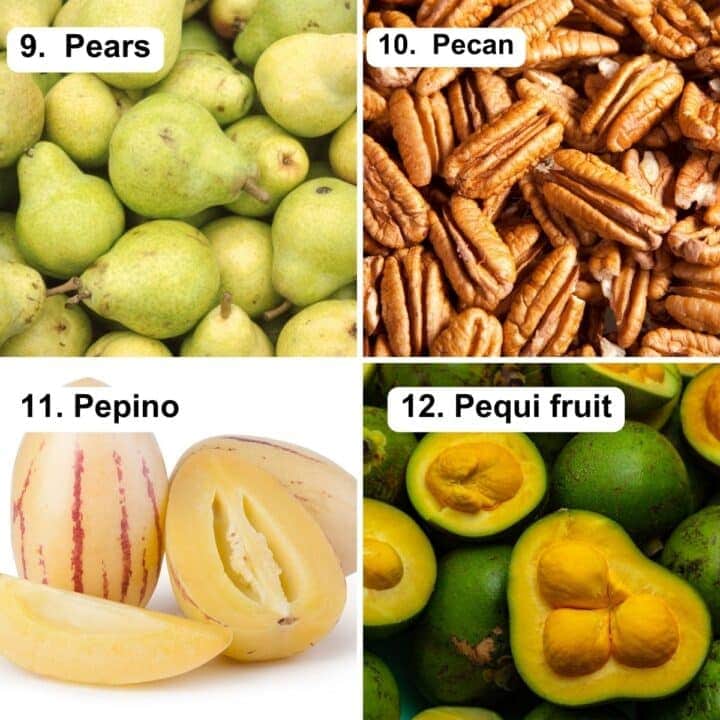 44 Fruits That Start With P - Keeping the Peas