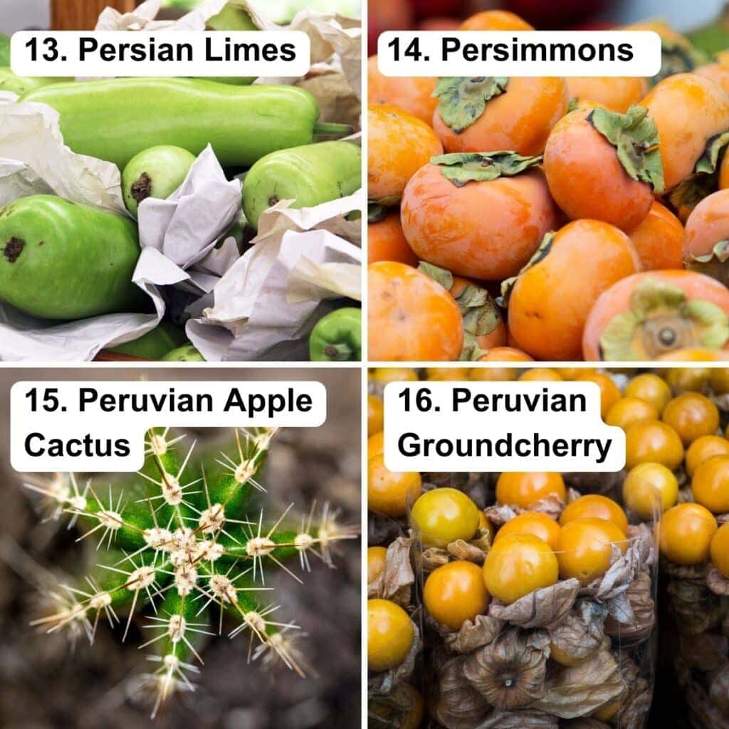 44 Fruits That Start With P - Keeping the Peas