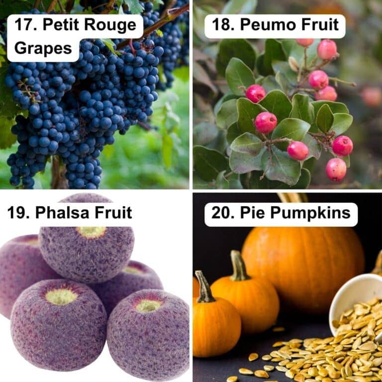 44 Fruits That Start With P - Keeping the Peas