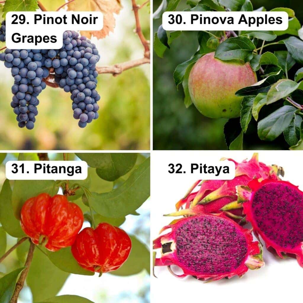 44 Fruits That Start With P - Keeping the Peas